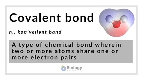 Covalent Bond Definition And Examples Biology Online Dictionary