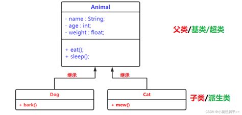 继承与多态 csdn博客