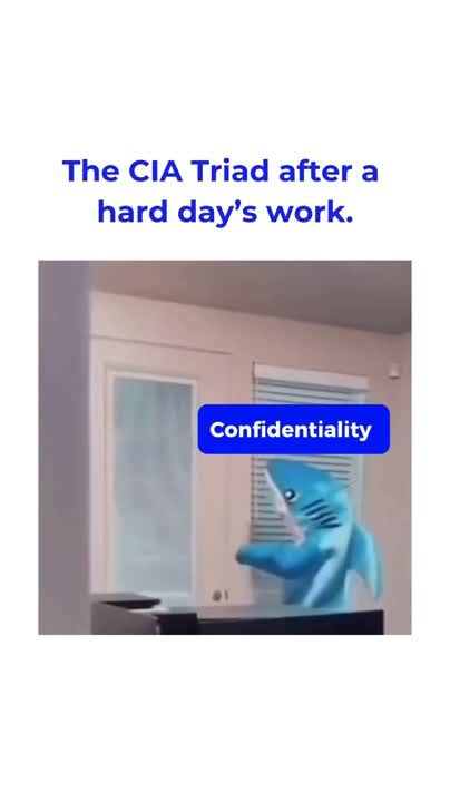 Dot Security On Linkedin Cybersecurity Dotsecurity Ciatriad Infosec Datasecurity