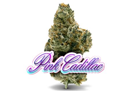 Pink Cadillac Strain Weed Mart