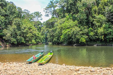 Ulu Temburong National Park The Green Jewel Of Brunei