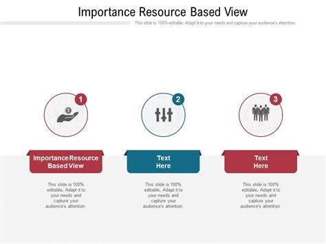 Importance Resource Based View Ppt Powerpoint Presentation File