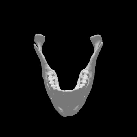 🦴human Mandible Bone 3d Printable Skull Anatomy Model Dr・fichier