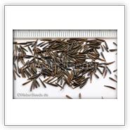 Anthriscus Sylvestris Cow Parsley Seeds Plants Dried Herbs
