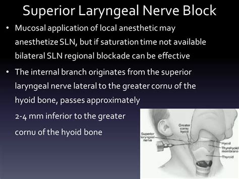 Superior Laryngeal Nerve Block