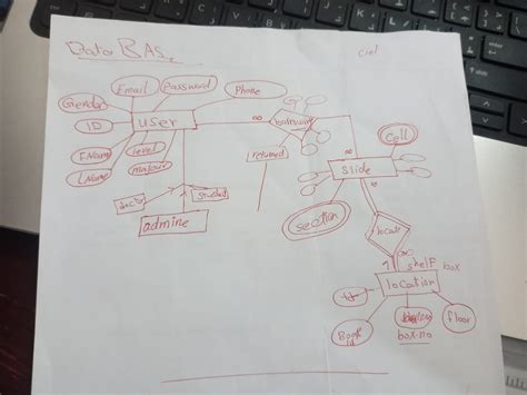 GitHub Hagar Abdelaliem Graduation Project