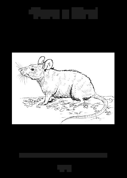 Ɓera A Birni The Early Learning Network