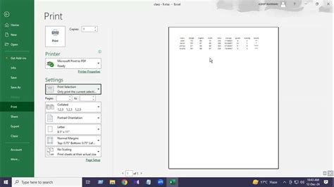 09 Excelsort And Filter Conditional Formatting Rept Sum Rank Data Validation List Part