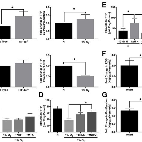Altered Tpp Homeostasis During Hypoxic Stress A Hplc Analysis Download Scientific Diagram