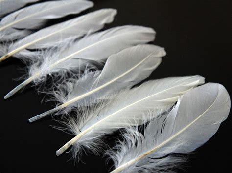 Plumes Blanches De Satinette Doie En Vrac 14 Livre Gros La