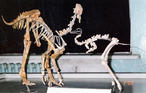 Equatorial Minnesota Mongolian Dinosaurs 2002