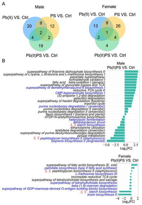 Sex Specific Effects Of Polystyrene Microplastic And Leadii Co
