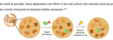 61 Tagging A Biomolecule And Analysing Its Cellular Localisation Or Download Scientific