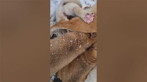 길채는 엄마입니다 Youtube