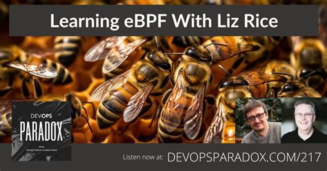 devops paradox devops paradox