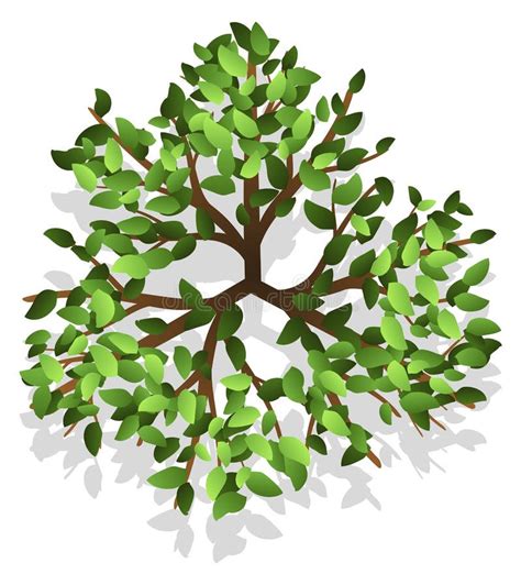 Trees Top View Vector Set For Landscape Design And Map Stock Vector