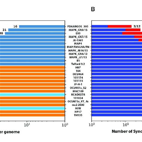 Nucleotide Level Similarity Analysis The Top Matrix Shows The Download Scientific Diagram