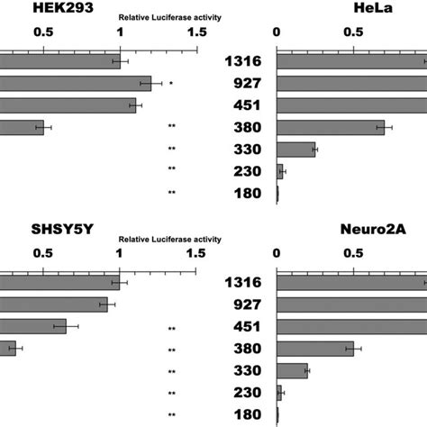 Deletion Analysis Of The Human Tardbp Promoter Firefly Luciferase