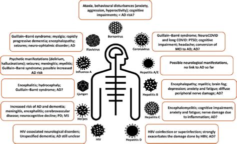 Main Manifestations Of Neurotropic And Non Encephalotropic Viral