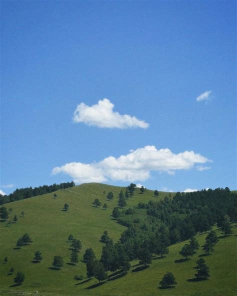 Пин от пользователя Wei Yi на доске ପ ⑅ˊᵕˋ⑅ ଓ