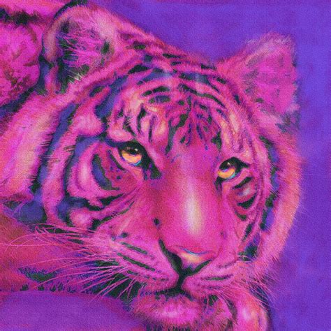 Pink Tiger Cool Wallpapers Animated Angry Tiger Vector Images Free