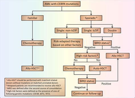 Frontiers Acute Myeloid Leukemia With Cebpa Mutations Current