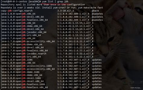 部署web项目 linux 极客之音