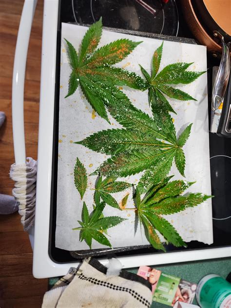 Cannabis Leaf Chips Rweed