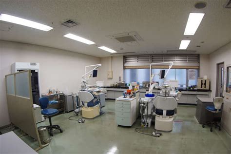 구강 건강을 위한 치아 관리 필수 팁