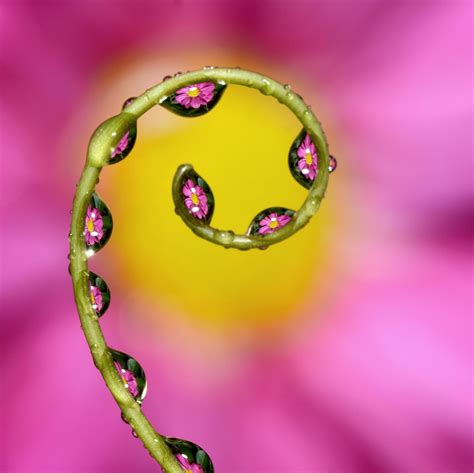 Beautiful Things Photography