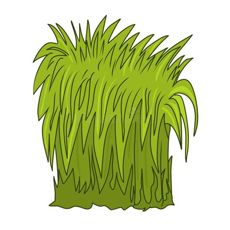 Elephant Grass Vector Illustration Grass Vector Stock Vector