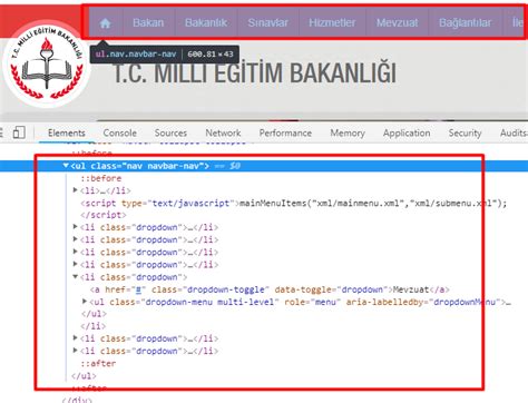 html listeleme web tasarım and programlama