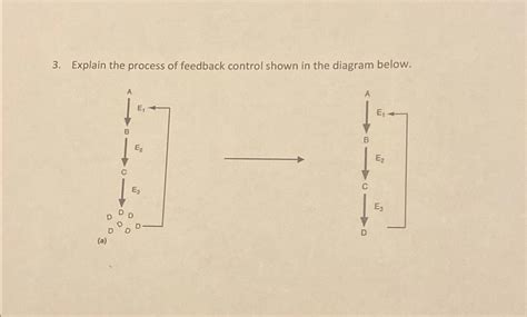 Solved Explain The Process Of Feedback Control Shown In The Chegg Com