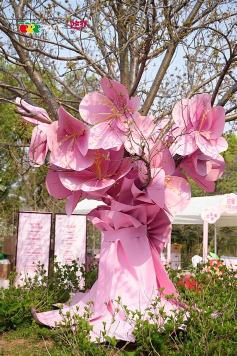 绿叶水果「樱花树下 躺“苹”一下」限时快闪（长沙） 花瓣网