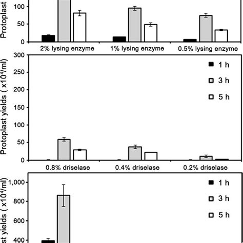 Effect Of Different Concentrations Of Lysing Enzyme Or Driselase On Download Scientific Diagram