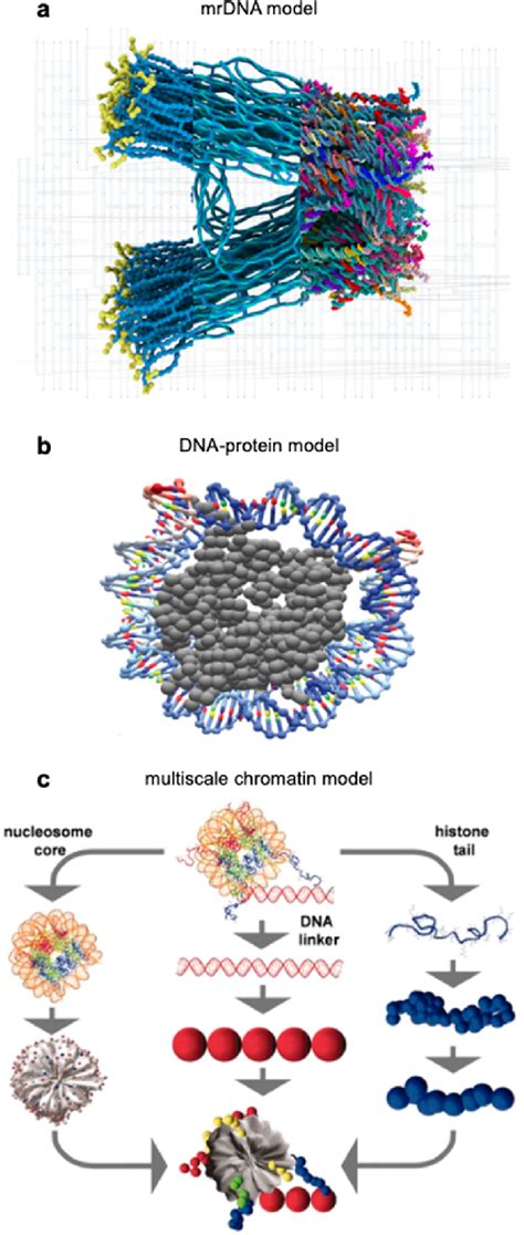 Three Multiscalehybrid Scale Models Used To Solve Tractability