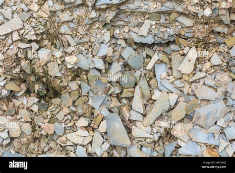 Close Up Of Shattered Slate Type Stone In A Field Concept