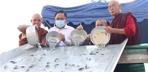 သီတင်းကျွတ်လပြည့် အဘိဓမ္မာအခါတော်နေ့တွင် ဇိဝိတဒါန ငါးလွှတ်ကုသိုလ်ပြုခြင်းနှင့် ကျိုင်းတုံမြို့