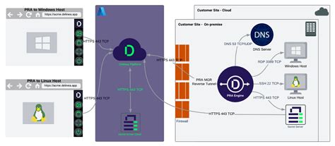 Delinea Platform Architecture