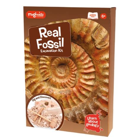 Fossil Dig Kit The Sensory Store