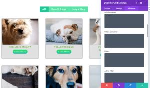 Divi Plugin Highlight Divi FilterGrid Elegant Themes Blog