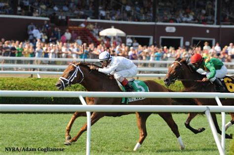 G1 Winner Sidneys Candy Sold To Stand In Turkey Paulick Report Latest News And Commentary