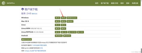 natapp 内网穿透工具 下载与配置 natapp配置 csdn博客