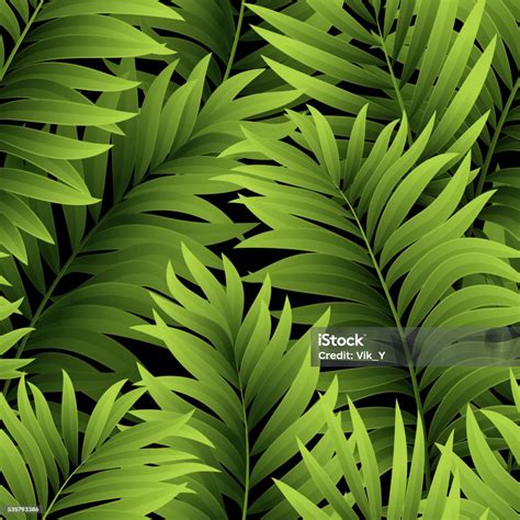 열대 몬스 테라 잎 디자인식 텍스트 카드 벡터 일러스트레이션 0명에 대한 스톡 벡터 아트 및 기타 이미지 0명 관목 꽃무늬 Istock