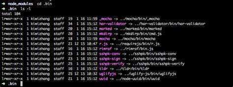 执行当前目录下的npm包而不是全局的npm包 执行npm命令怎么可以不用全局软连 csdn博客