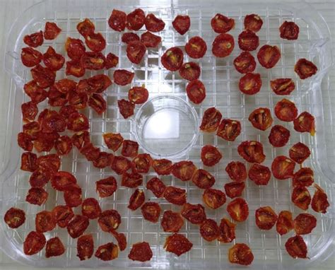 ﻿썬 드라이 방울토마토 만들기