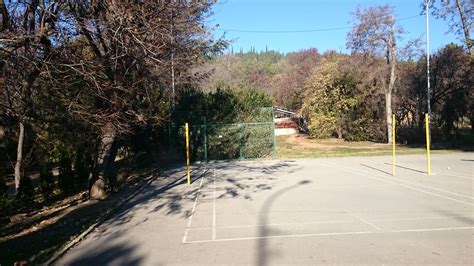 Laurus Nobilis Stara Zagora