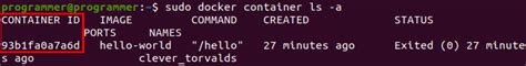 トラブルシューティング Docker パーミッションが拒否される問題 Techsyncer
