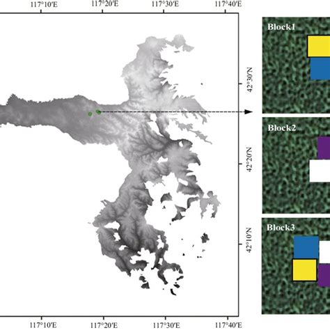 Variation In The Mass Of Leaf Litter Remaining During Decomposition