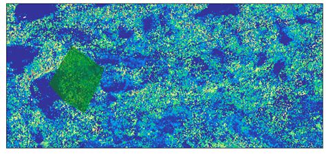 Crop A Spatial Raster Dataset Using A Shapefile In Python Earth Data